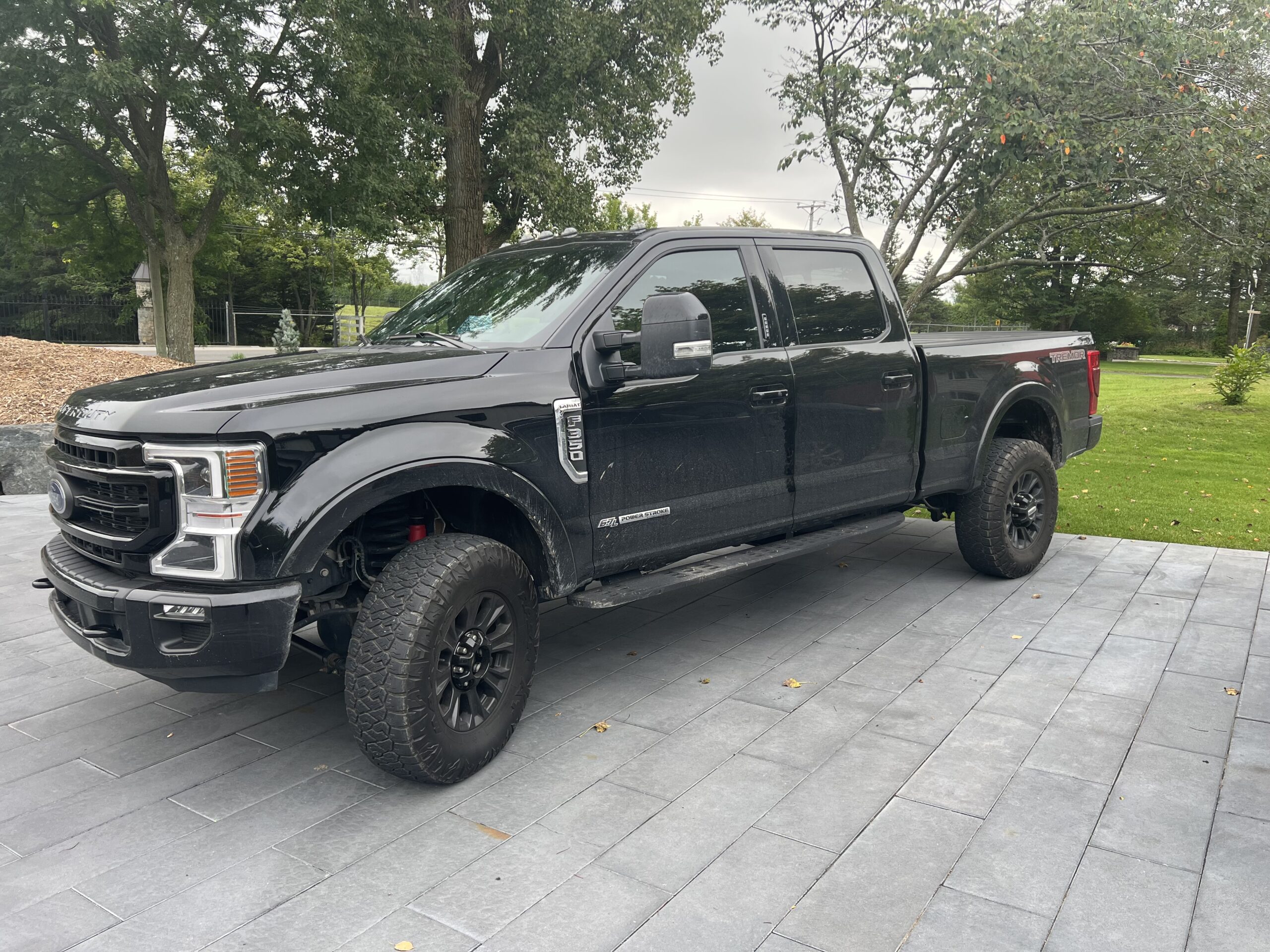 Ford F-350 Tremor 2020 - Action Picture Car